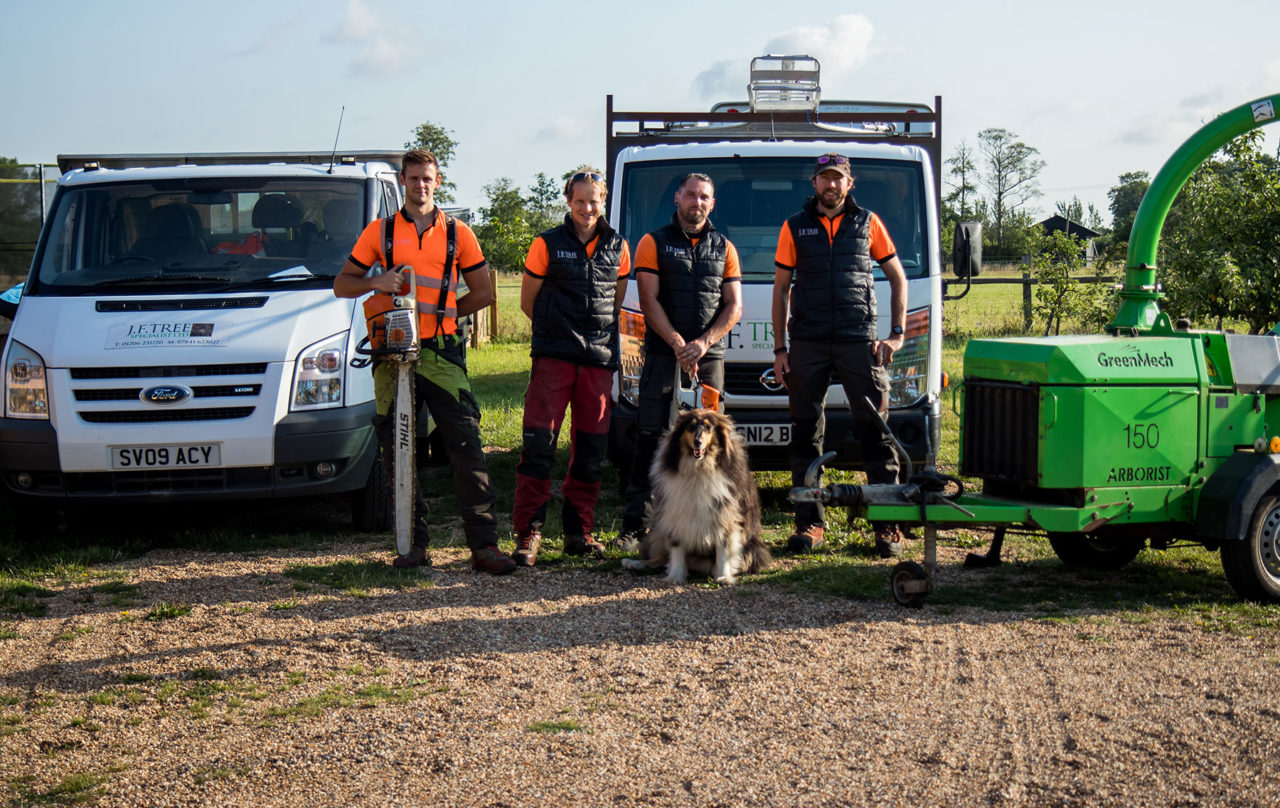 Wivenhoe Tree Surgeon | Professional Tree Surgery Services
